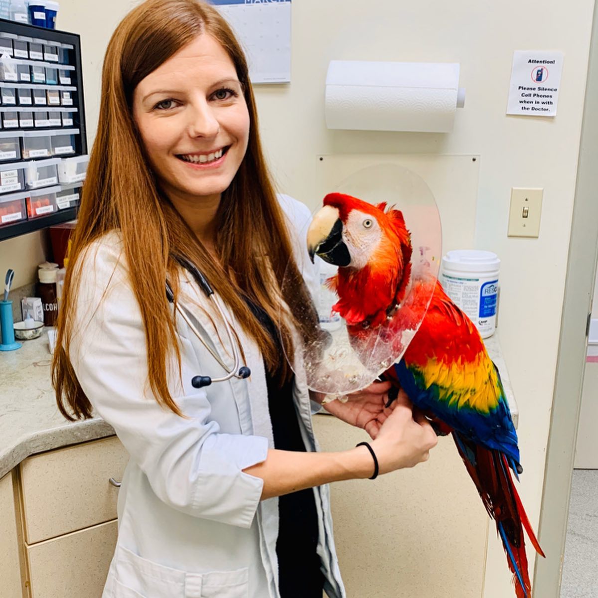 Exotic Bird Hospital – Dedicated to excellence in avian and exotic ...
