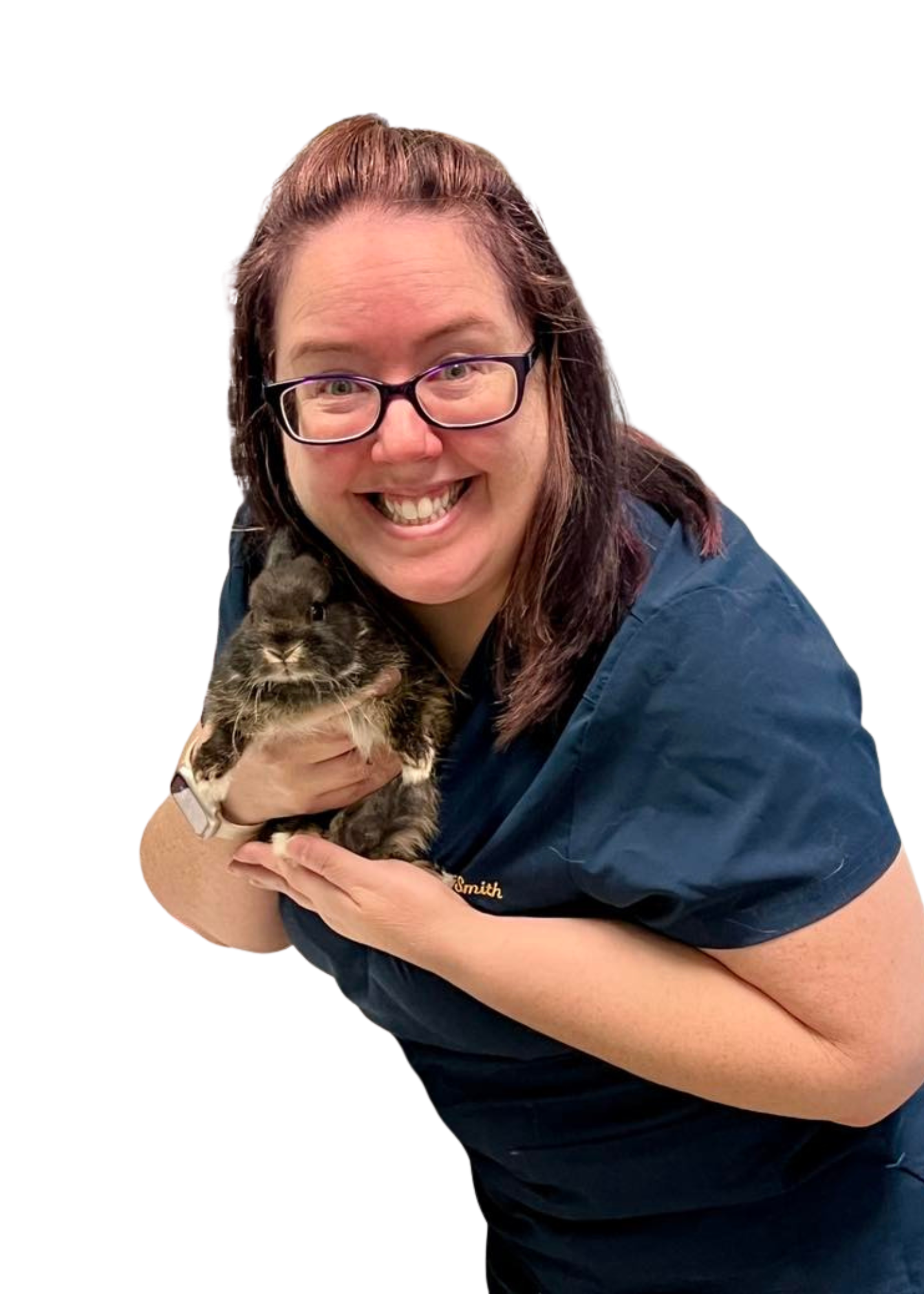 Exotic Bird Hospital – Dedicated to excellence in avian and exotic ...